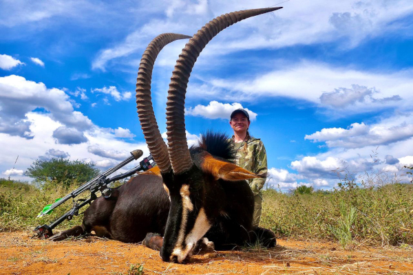 Blog | Bushmen Safaris